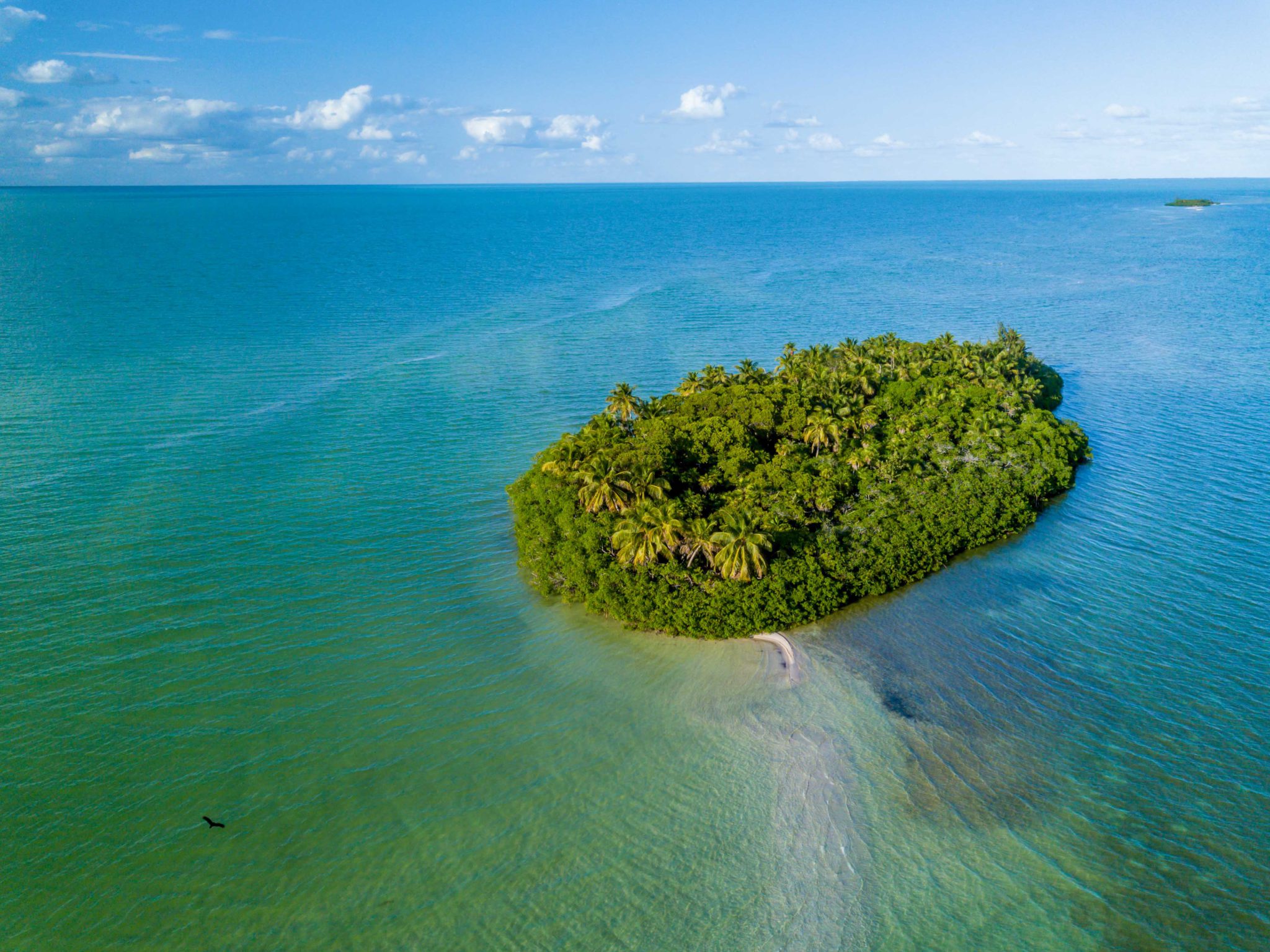 Ultimate Guide to Travel Mexico with Children – Rutopía: viajes únicos ...