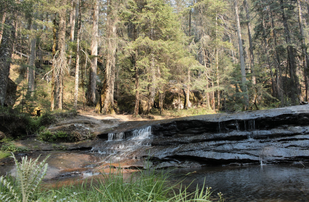 Vivir en armonía con la naturaleza en Nuevo Durango, Quintana Roo ...